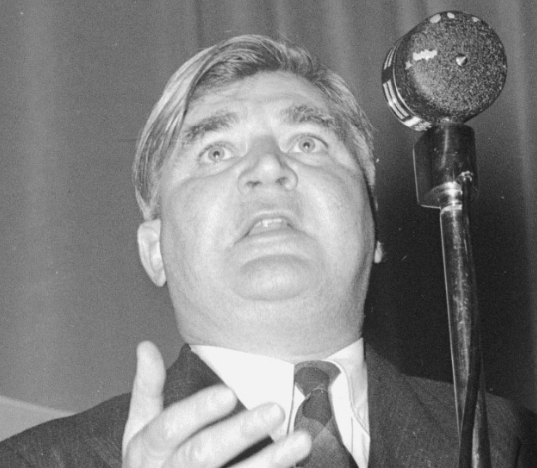 NHS Long Term Plan and Mental Health Implementation Plan: Phoenix or ...