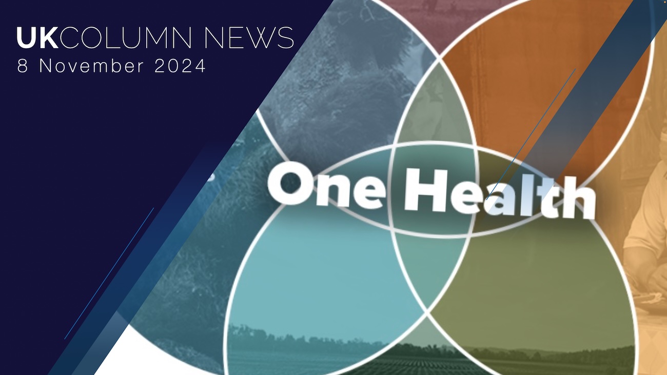 UK Column News - 8th November 2024 | UKColumn