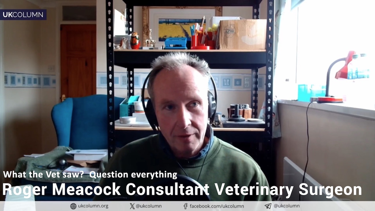 What the Vet Saw: Question Everything—with Roger Meacock, Consultant ...